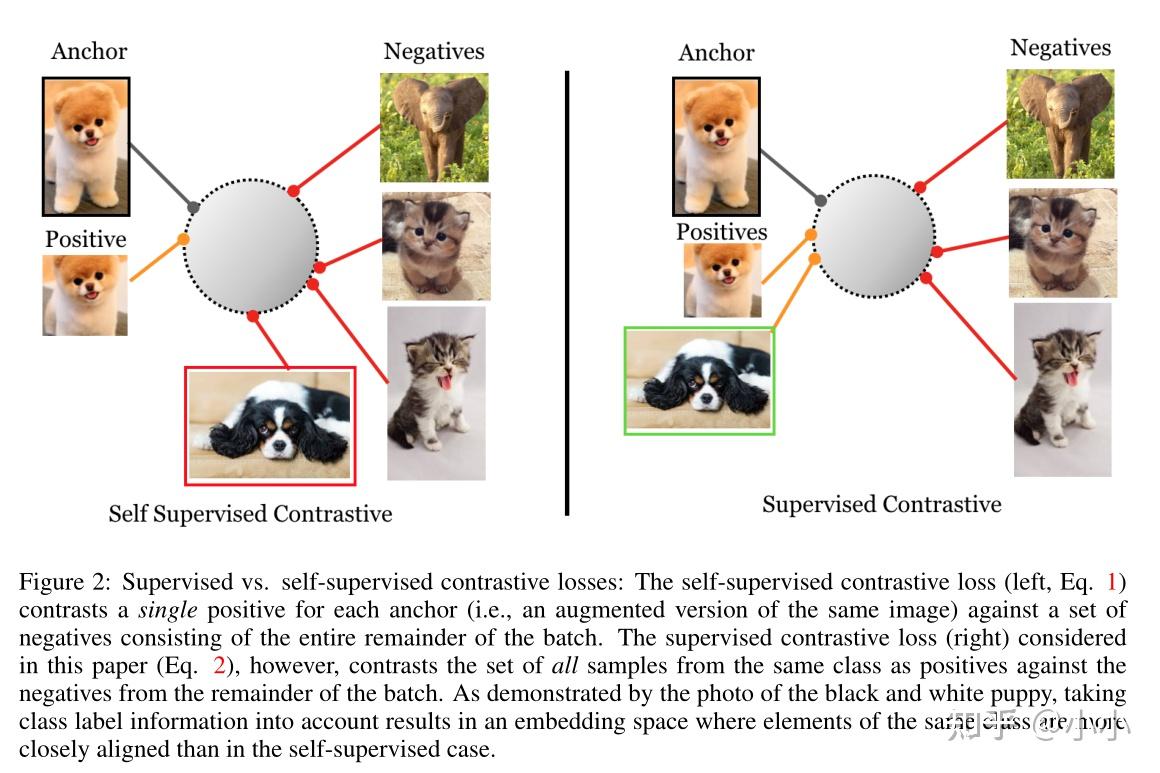 Contrast learning（五）Supervised Contrastive Learning - 知乎