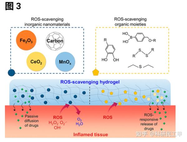 活性氧清除治疗水凝胶用于调节炎症反应 - 知乎