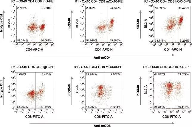 OX40，继PD-1之后的又一蓝海 - 知乎