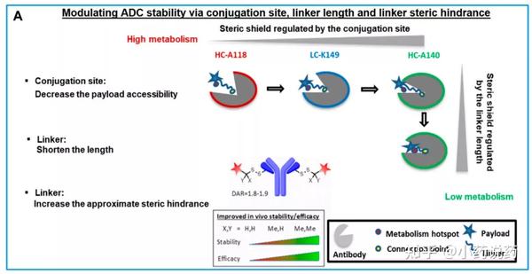 ADC连接子的集成设计 - 知乎