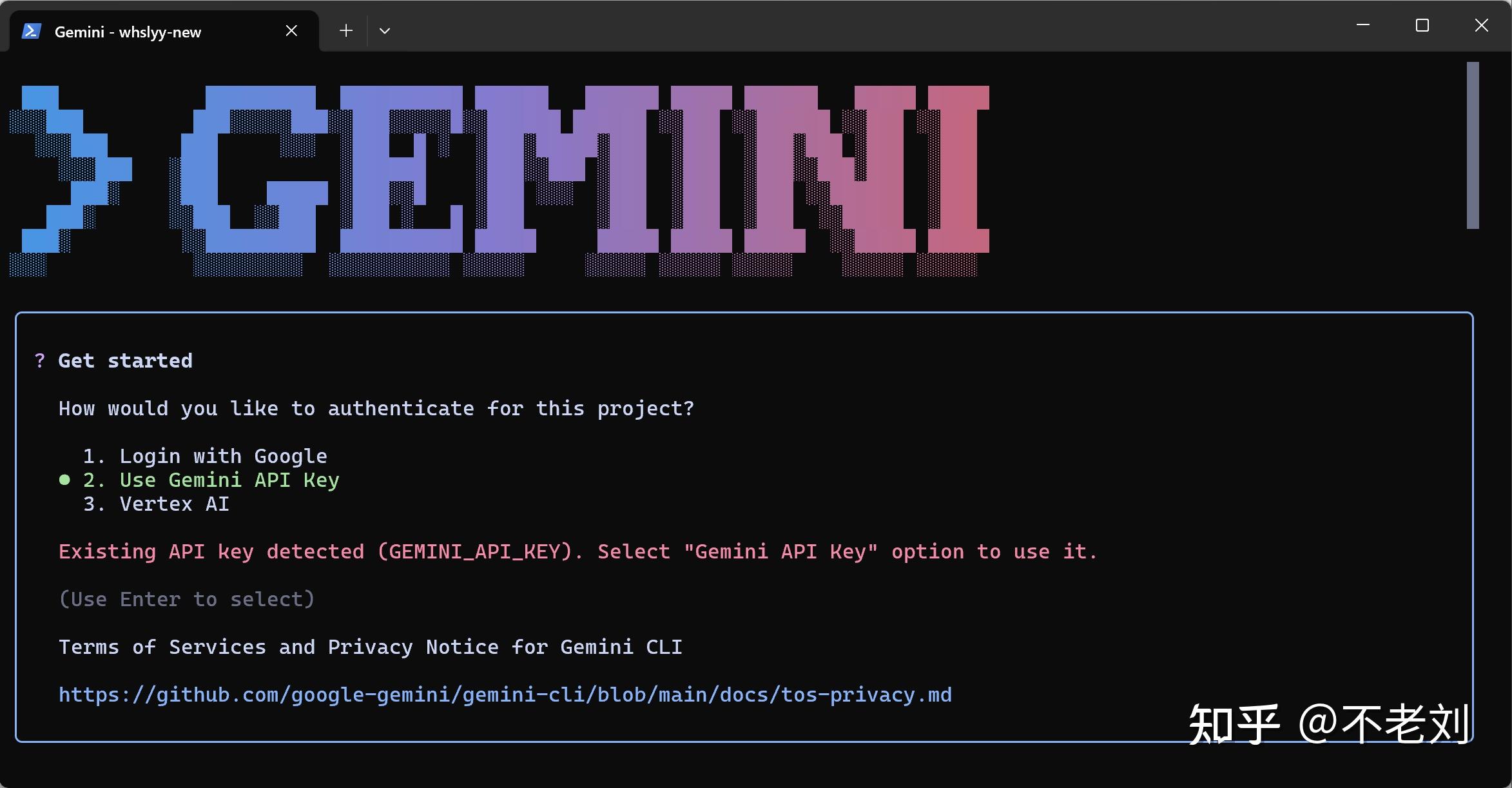 在 Windows 系统上安装官方 Gemini CLI 教程 - 知乎
