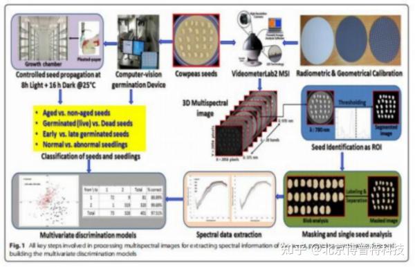 Videometer多光谱种子表型成像系统-种子形态生理表型产品解决方案 - 知乎