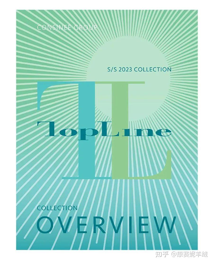 23SS TopLine / 思维“觉醒” - 知乎