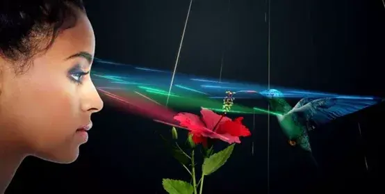 裸眼3D | Light Field Lab公司推出有史以来最高分辨率全息显示平台 - 知乎