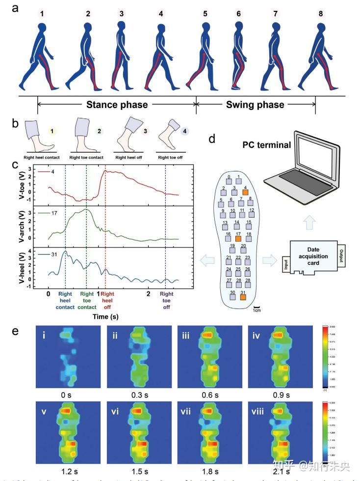 基于柔性摩擦电压力传感器阵列和深度学习的足底压力检测与步态分析系统 - 知乎