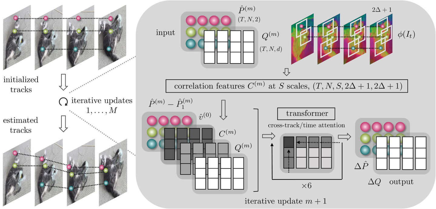 CoTracker论文阅读 - 知乎
