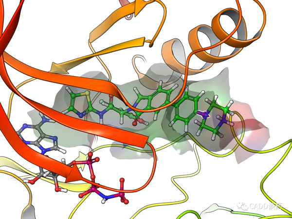 C4公司EGFR PROTAC(基于结构)浅析 - 知乎