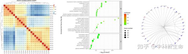 GSEA分析怎么用，看看这些用户文章你就知道！ - 知乎