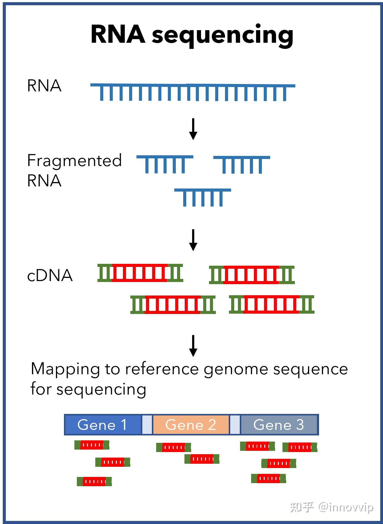 单细胞RNA测序的发展 从单细胞RNA测序(scRNA-seq)到活细胞测序(Live-seq) - 知乎