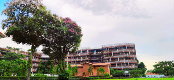 从NTU毕业，我同时收获阿里和字节offer - 知乎