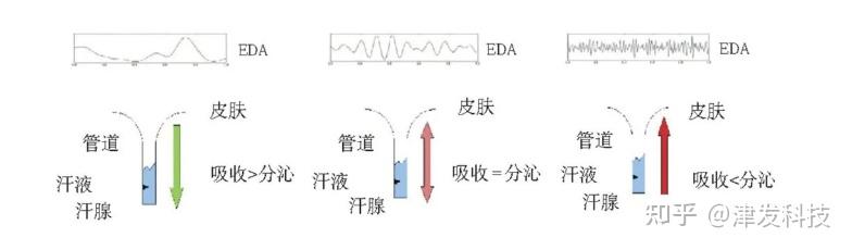 解读皮肤电信号中的SCL与SCR - 知乎