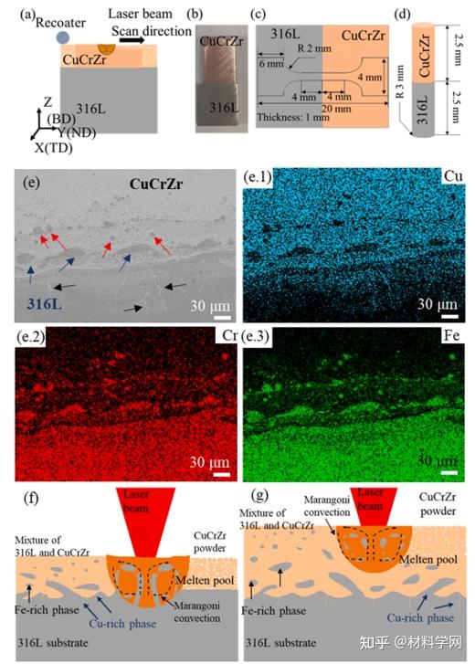 天津大学《Scripta Materialia》增材制造异质微结构316L/ CuCrZr功能梯度材料！ - 知乎
