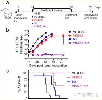 肿瘤免疫靶点 | CD138 - 知乎