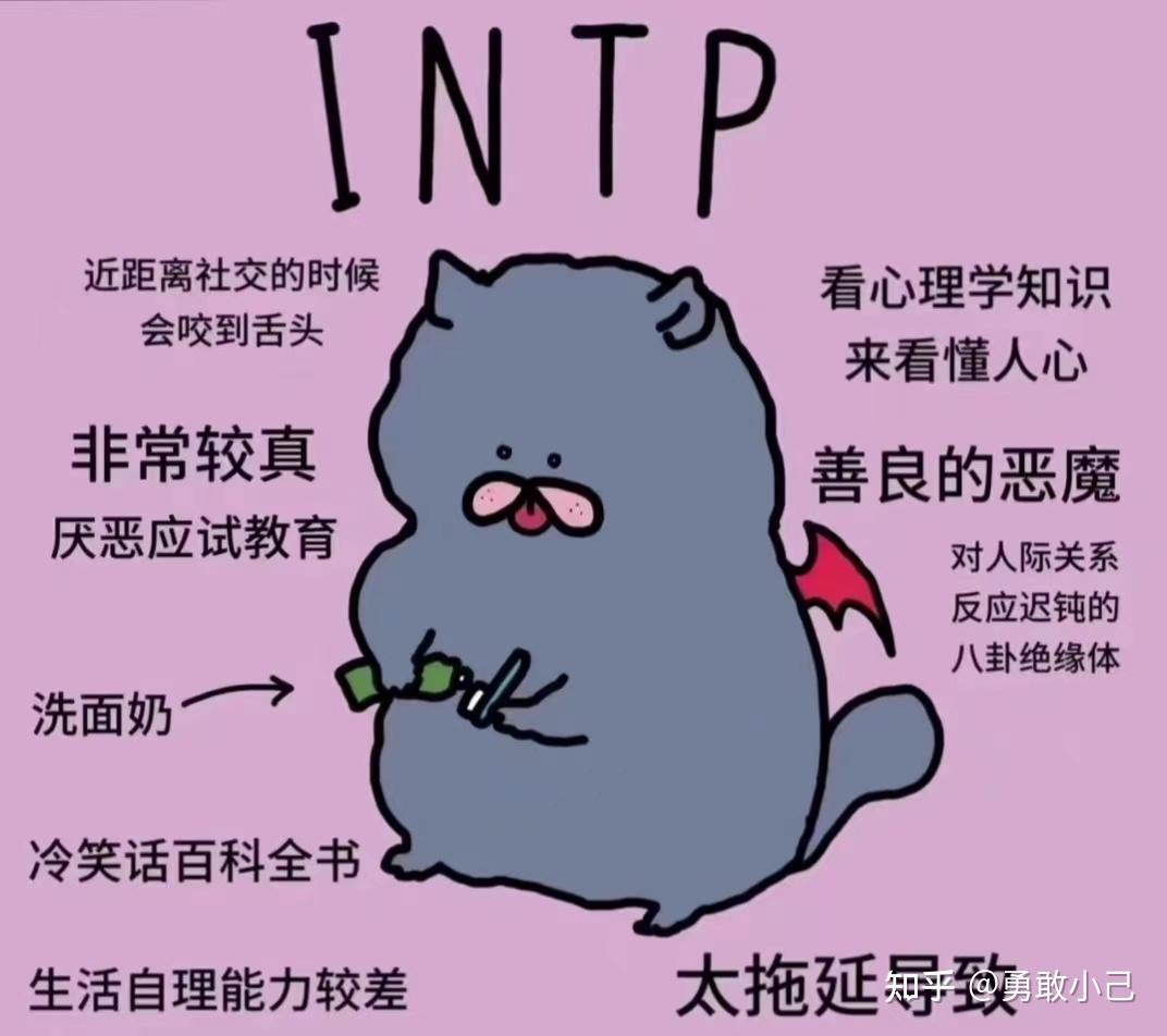 INTP人格测试 - 知乎