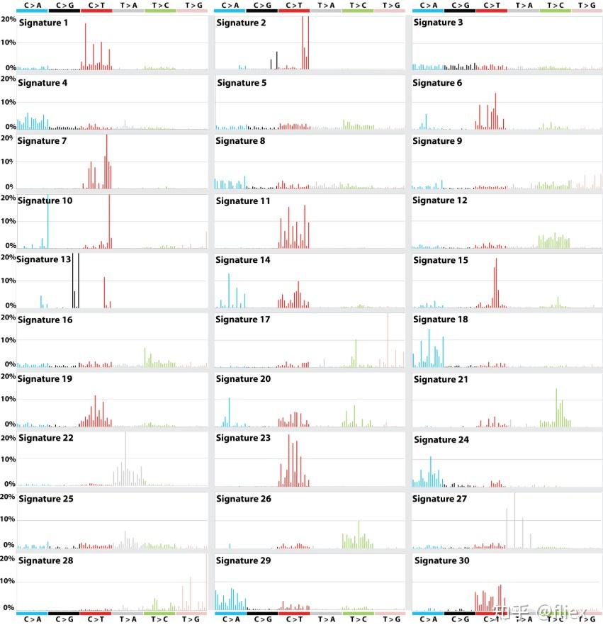 MS最全总结 - 知乎