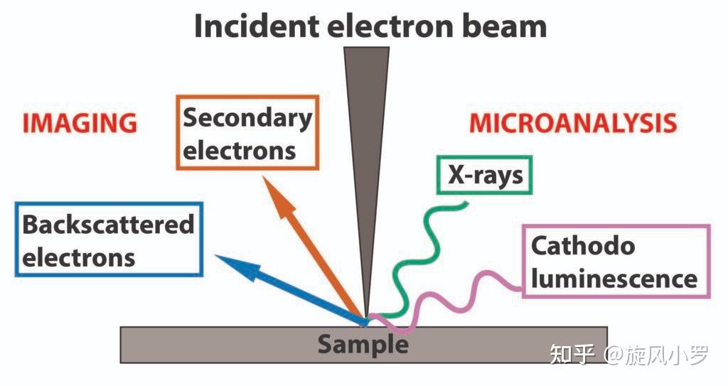 完全弄懂扫描电子显微分析(SEM)——入门版 - 知乎