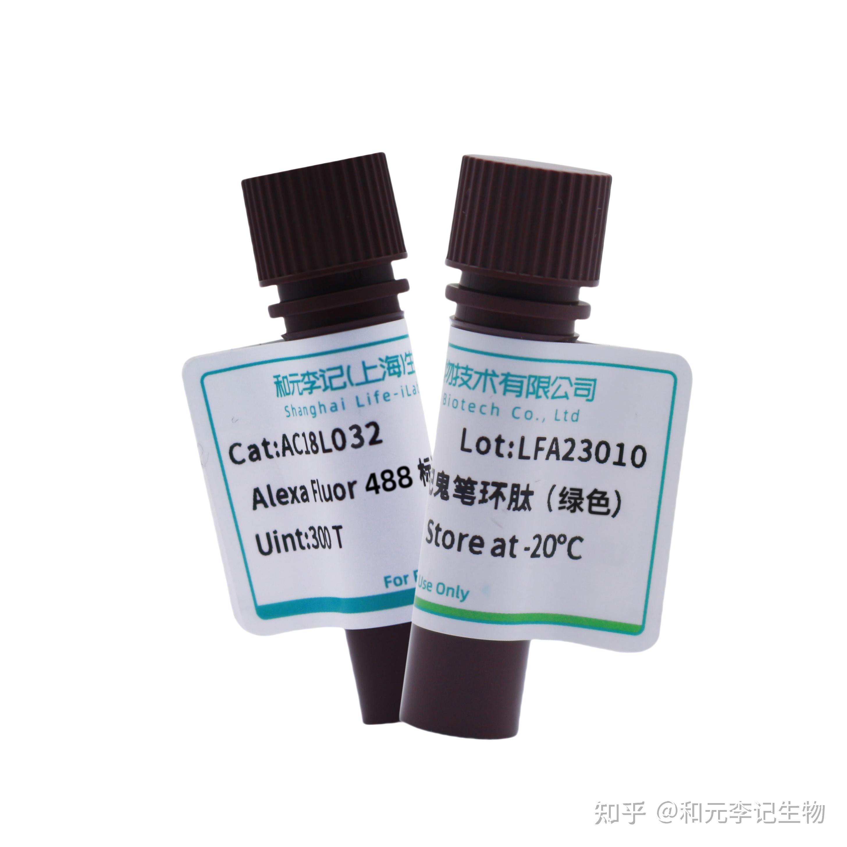 AF488标记的鬼笔环肽的介绍、优势与操作步骤 - 知乎
