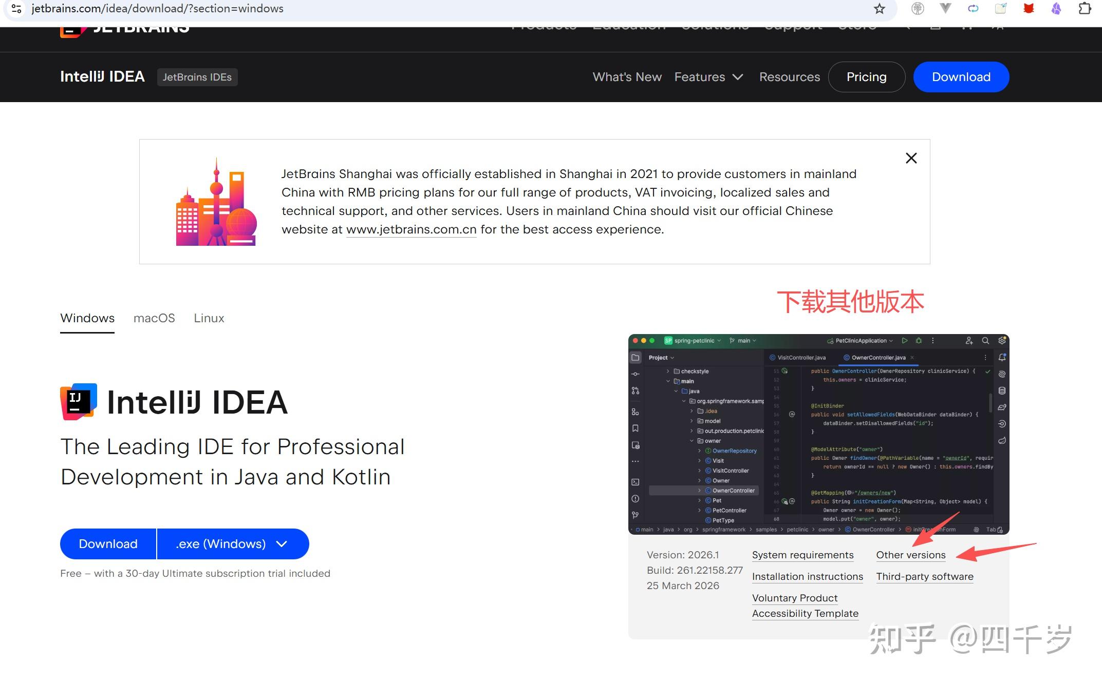踩坑无数总结：IDEA+WSL 连接、配置、运行全攻略 - 知乎