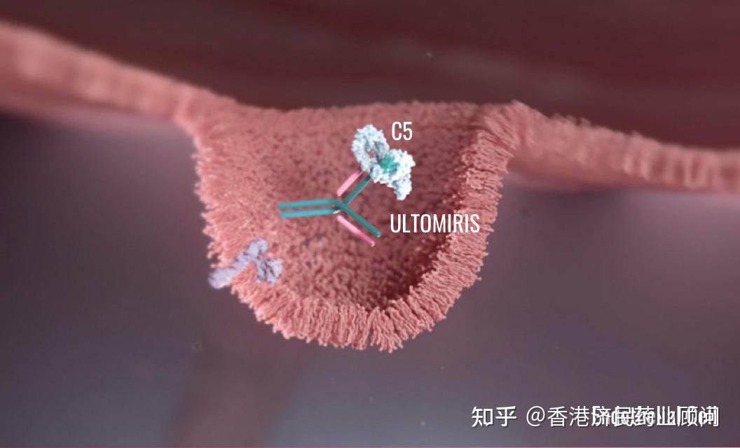 罕见病新药！FDA批准Ultomiris扩大适应症：治疗儿童和青少年阵发性夜间血红蛋白尿(PNH) - 知乎
