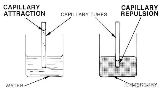 Capillary Action-毛细作用 - 知乎