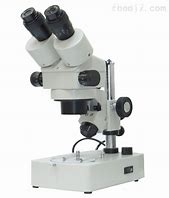 显微镜家族简介 - 知乎