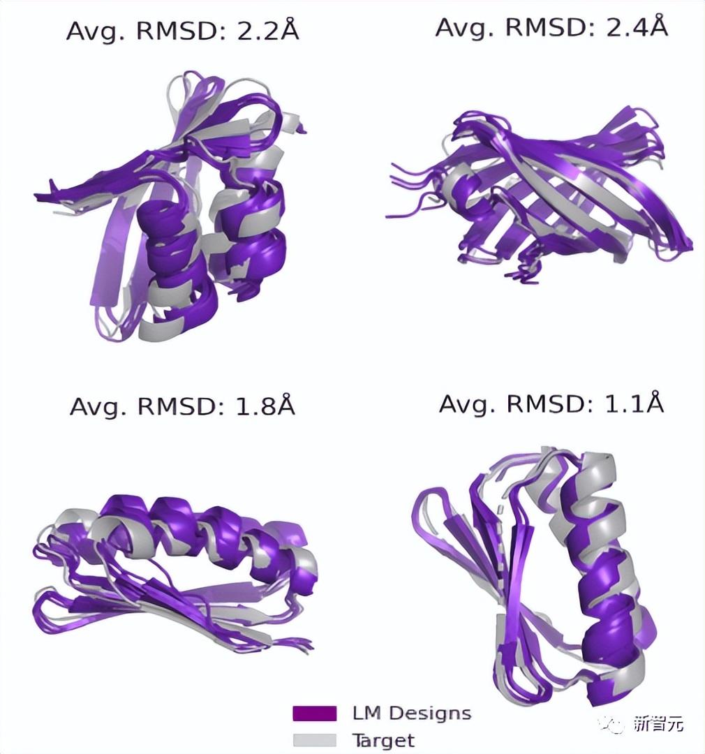 Meta让150亿参数语言模型学会从头设计「全新」蛋白质！LeCun：效果惊人 - 知乎