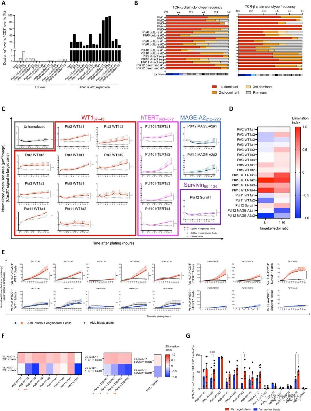 Sci Adv | 利用T细胞衰竭和红细胞增多来分离患者来源的肿瘤特异性TCR - 知乎
