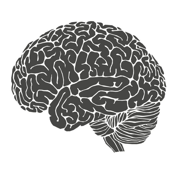 the“Unconscious homunculus”of Brain - 知乎