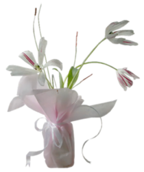 英语问答：形容词 satisfied 与content 用法是有何不同？ - 知乎