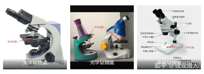 显微基础丨①显微镜是什么？ - 知乎