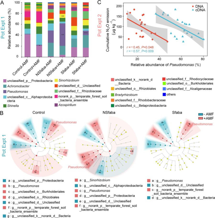 Microbiome | 中国农业大学研究揭示菌根真菌协同菌丝际微生物减少微生境中一氧化二氮的排放！ - 知乎
