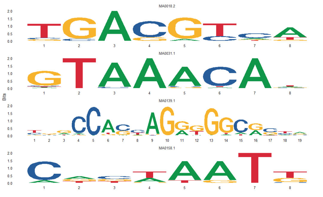 R可视化——ggseqlogo包绘制序列分析图 - 知乎