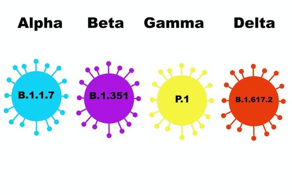 中国科学家的DELTA突变株追踪报告 - 知乎