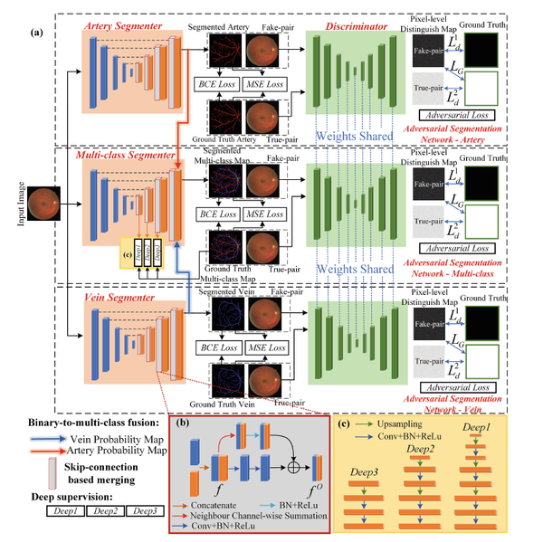 【MICCAI-2021医学图像分割领域60+篇文章速读概览（文末附总结）】 - 知乎