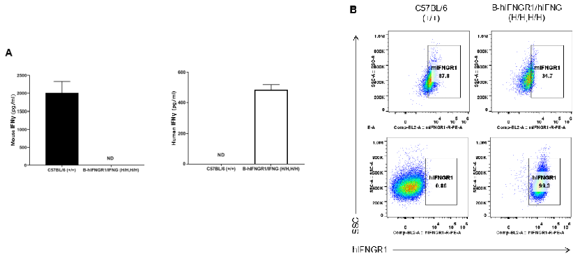 从IFN-γ出发，破解噬血细胞综合征困局 - 知乎
