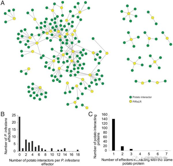 PNAS | 研究揭示利用非宿主抗性提高植物抗病能力的策略！ - 知乎