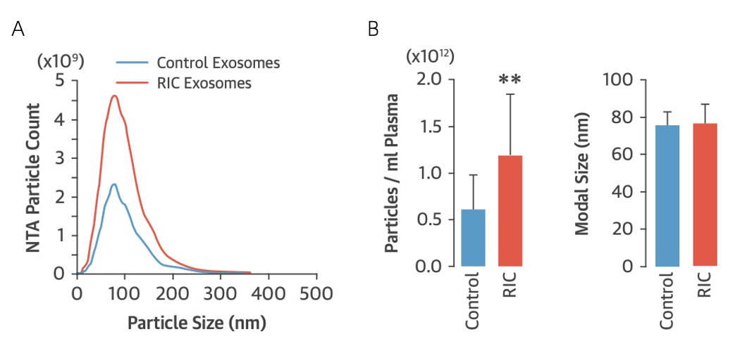 小样本量的血浆来源外泌体如何开展机制研究？ - 知乎