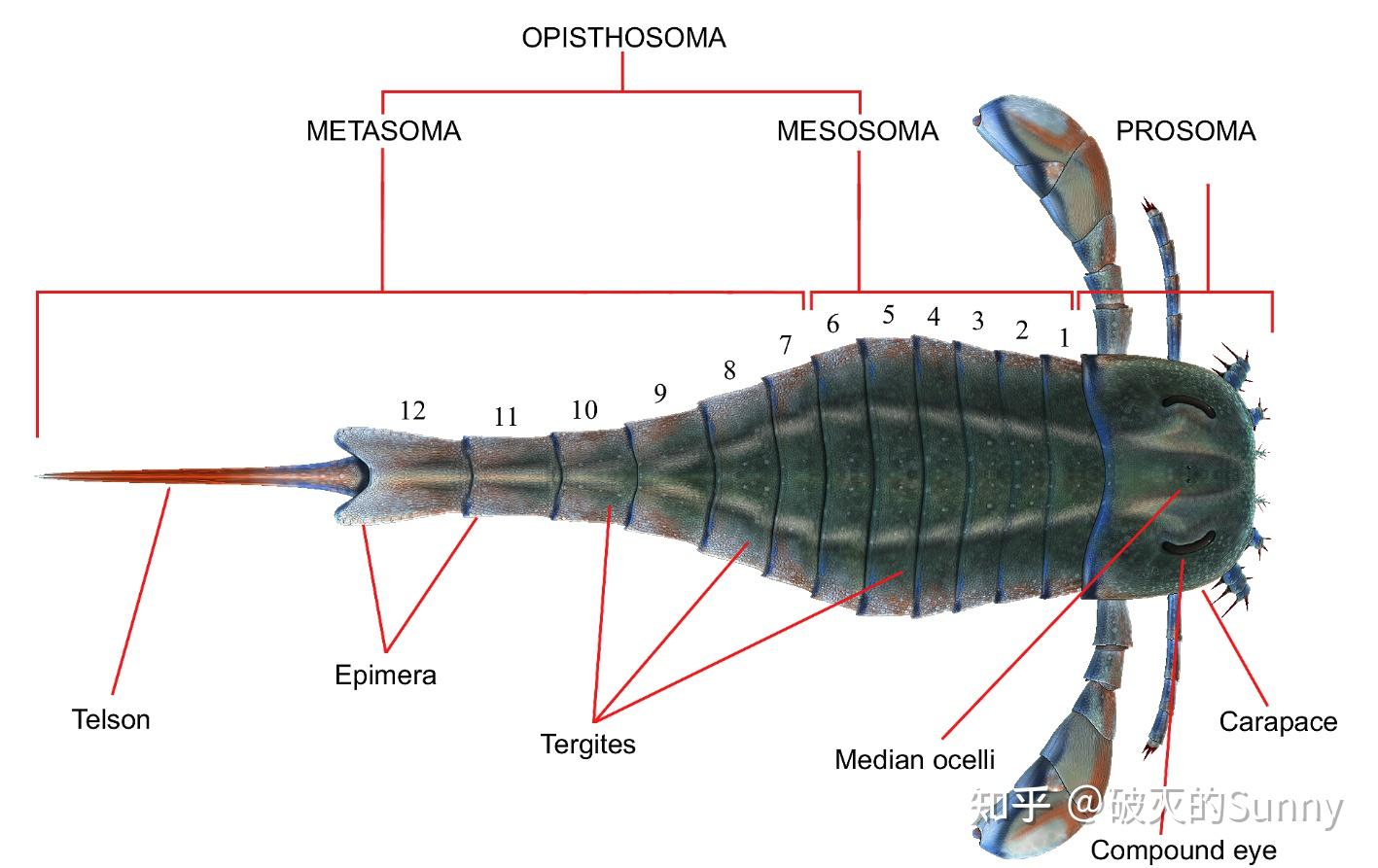 《山海经》里最有可能在现实中存在的神兽有哪些？它们身上藏了哪些秘密？