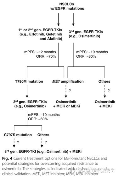 c-Met的功能、突变及靶向治疗 - 知乎