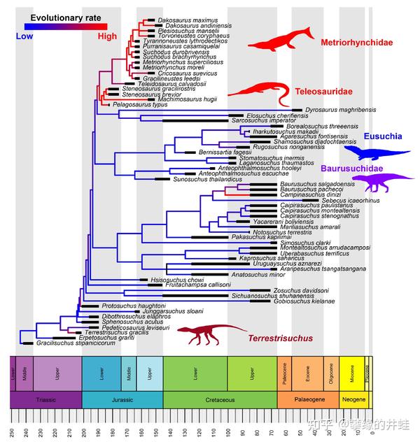 【地球演义】忽雷本纪1：主龙第一帝国（上） - 知乎