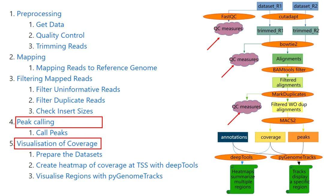 一文详解ATAC-seq原理+读图：表观遗传的秀儿 - 知乎