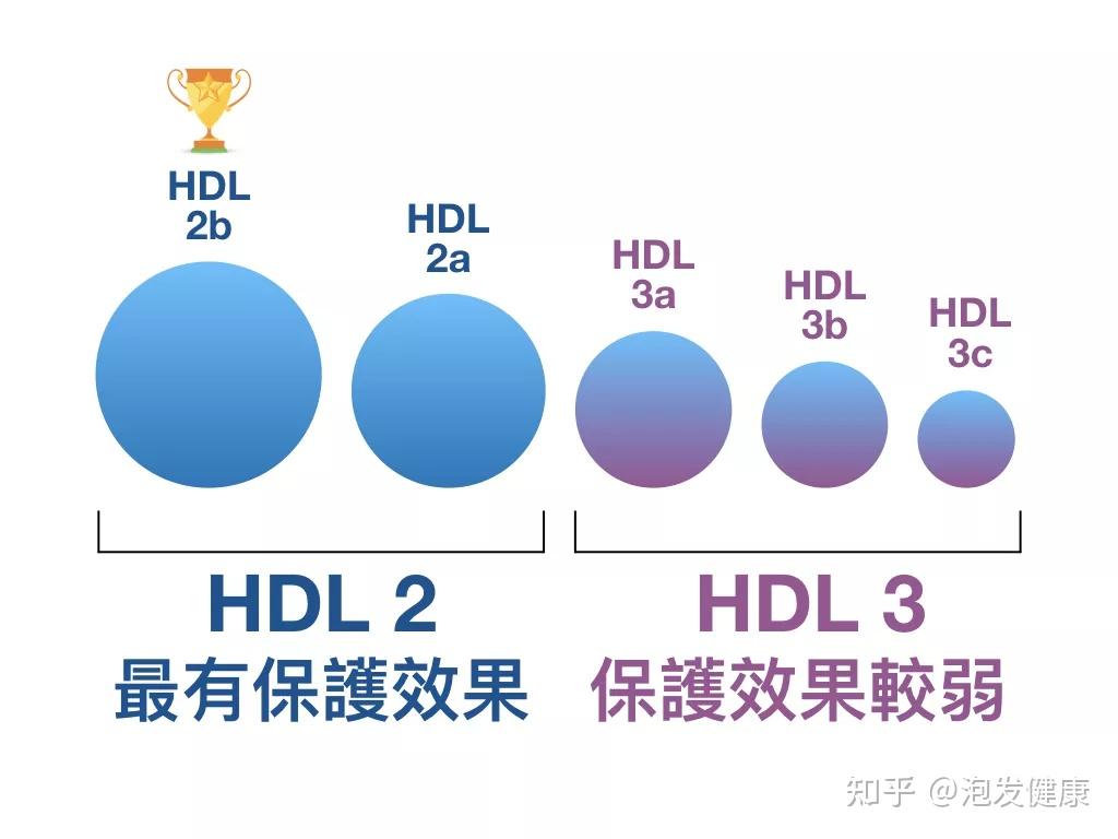 你不知道的“sd-LDL-C”和"LPO"——更明确地预测严重心血管疾病、甚至死亡！ - 知乎