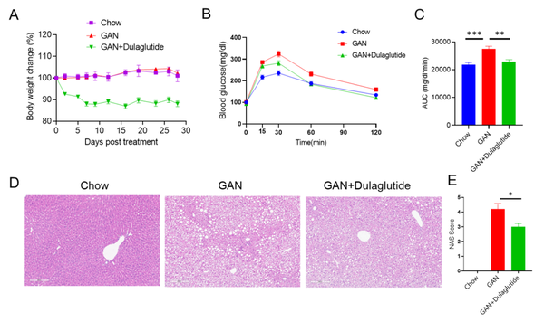 GAN饮食诱导NASH模型 | 老龄鼠再展新风采，助力NASH药物研发 - 知乎