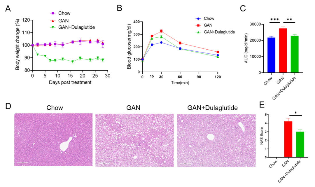 GAN饮食诱导NASH模型 | 老龄鼠再展新风采，助力NASH药物研发 - 知乎