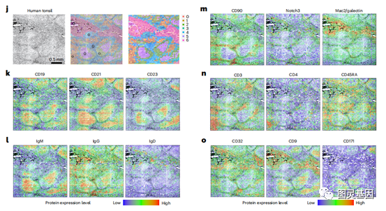 Nat Biotech | CITE-seq技术实现细胞级抗原表位与转录组共定位 - 知乎