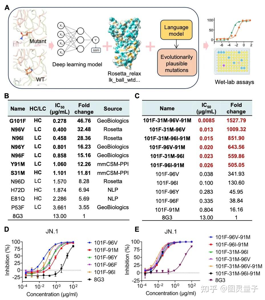 PNAS顶刊 | 抗体中和活性提升1000倍，百奥几何生成式AI高效反击病毒新变种 - 知乎