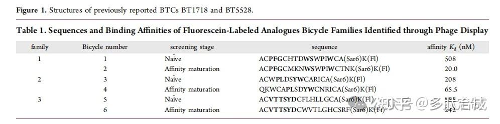 BT8009 的发现：一种用于癌症治疗的靶向Nectin-4的双环毒素偶联物 - 知乎