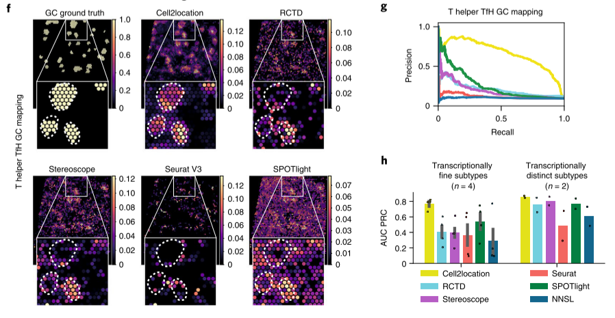 Nat Biotechnol | Cell2location : 贝叶斯算法联合分层分析绘制精细空间转录组图谱 - 知乎