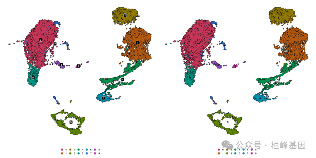 SCS【39】单细胞转录组之降维散点图的美化 (SCpubr) - 知乎