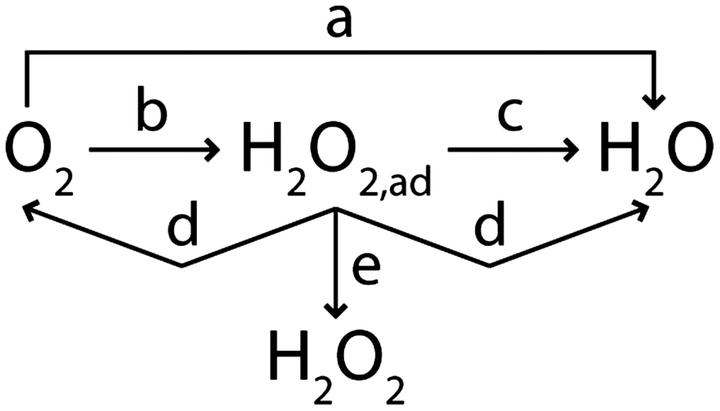 ORR理论文章解析（一） - 知乎